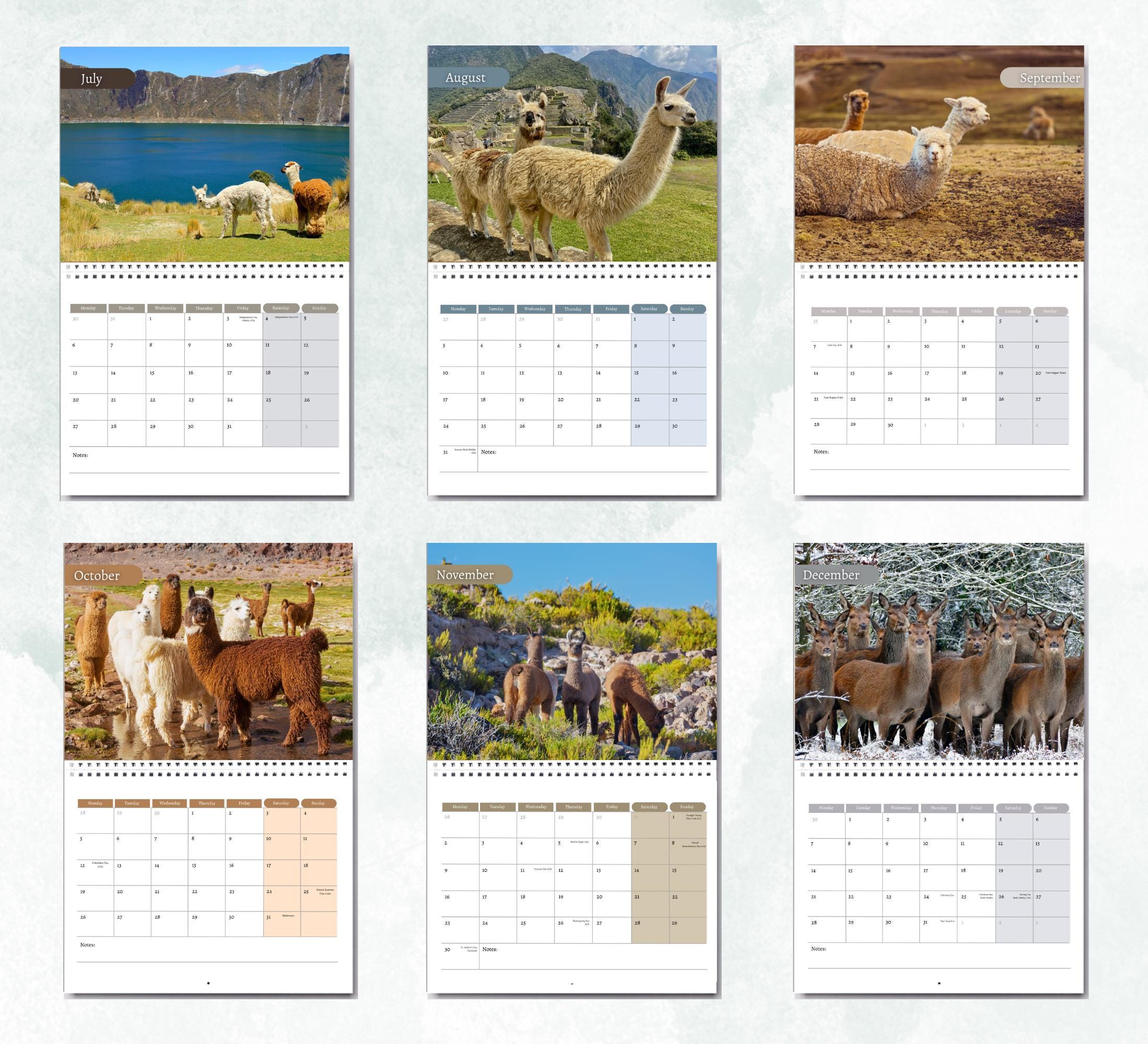 Llama Calendar 2026: Monthly Wall Calendar With Notes, Opens to A3 Size ...