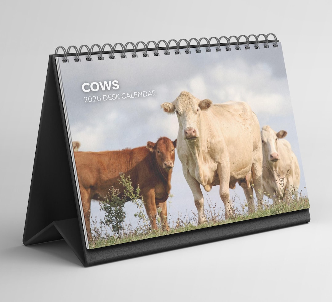 Cows Desk Calendar 2026-2027: Standing Flip Desktop Calendar With Thick ...