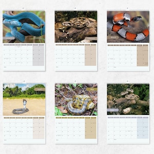 Snake Calendar 2025: Monthly Wall Calendar With Notes, Hanging A4 Size ...