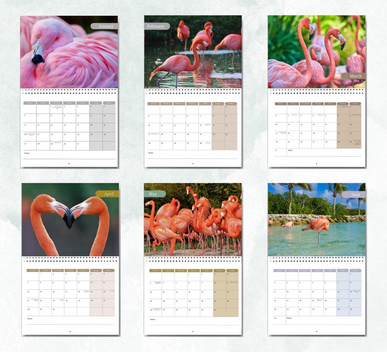 Flamingo Calendar 2026: Monthly Wall Calendar With Notes, Opens to A3 ...