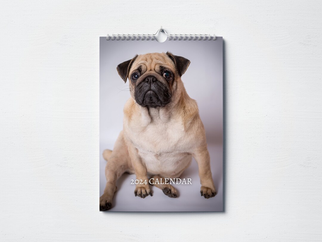 Pug Calendar 2024 Monthly Wall Calendar, A4 Hanging Calendar Perfect ...