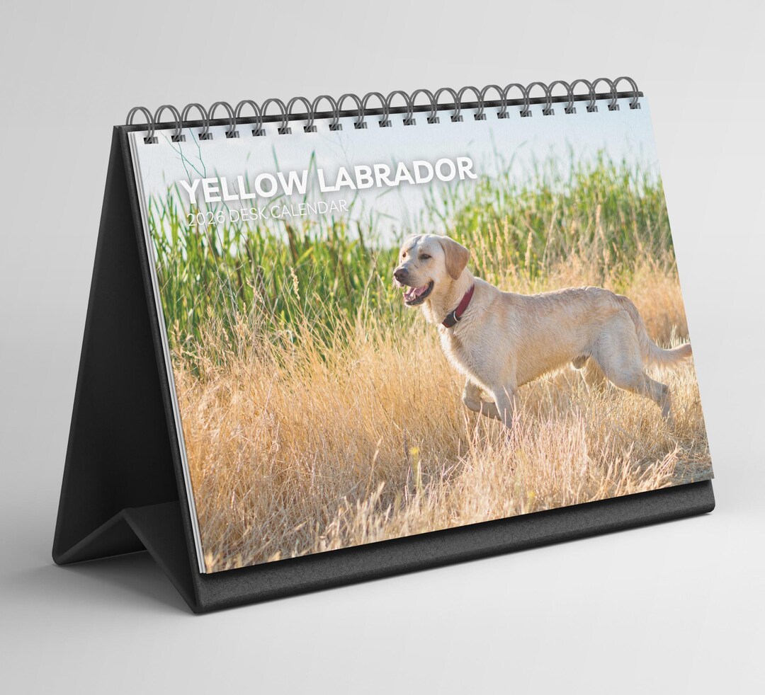 Yellow Labrador Desk Calendar 2026-2027: Standing Flip Desktop Calendar ...