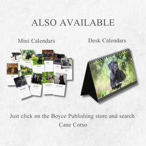 Cane Corso Calendar 2025: Monthly Wall Calendar With Notes, Opens to A3 ...