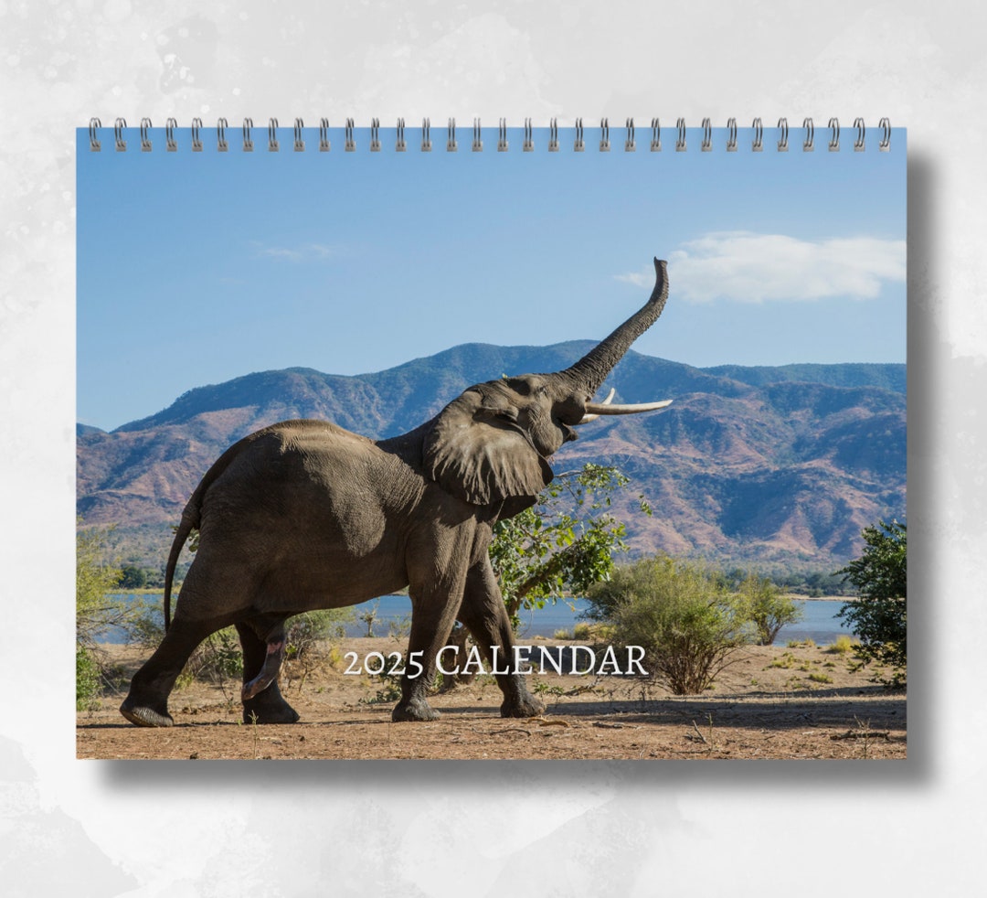 Elephant Calendar 2025: Monthly Wall Calendar With Notes, Opens to A3 ...