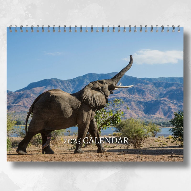 2025 Elephant Calendar - Etsy