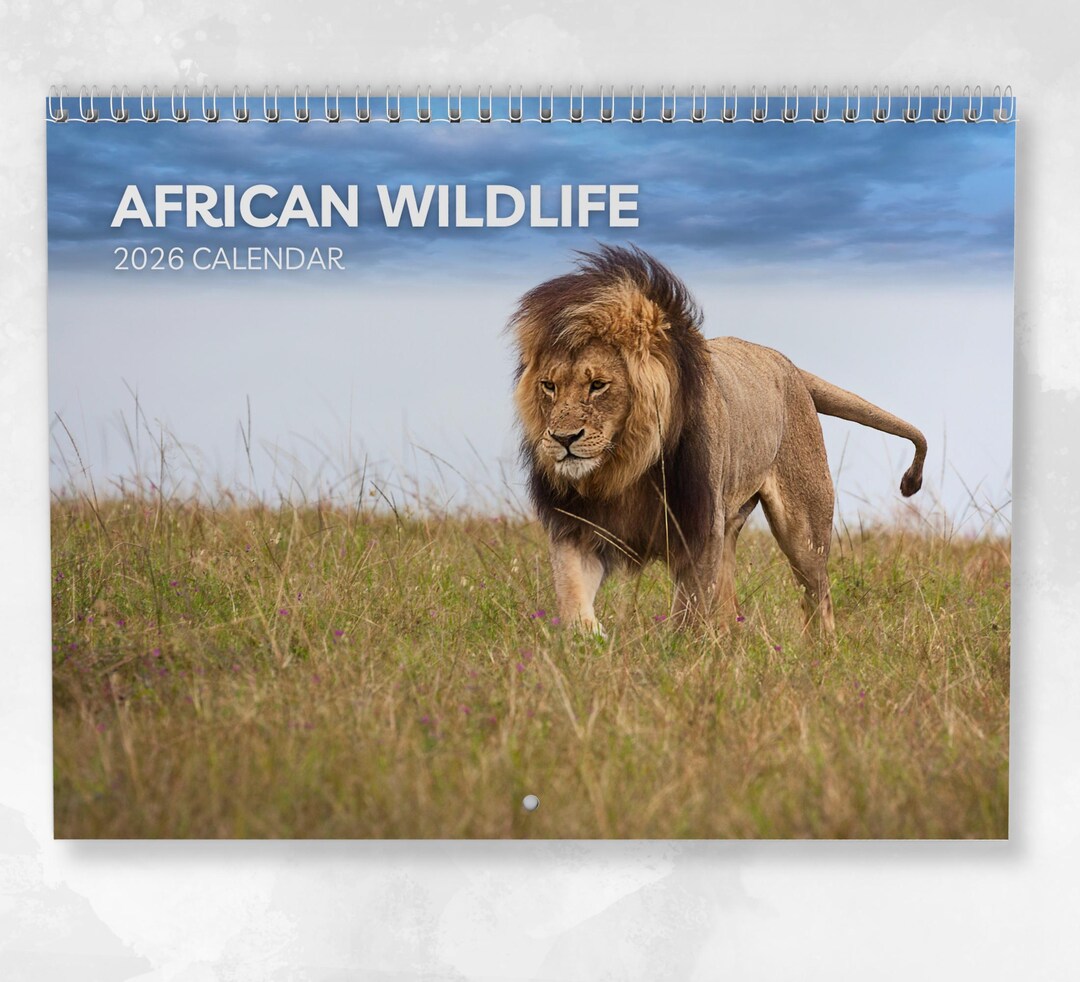 African Wildlife Calendar 2026: Monthly Wall Calendar With Notes, Opens ...