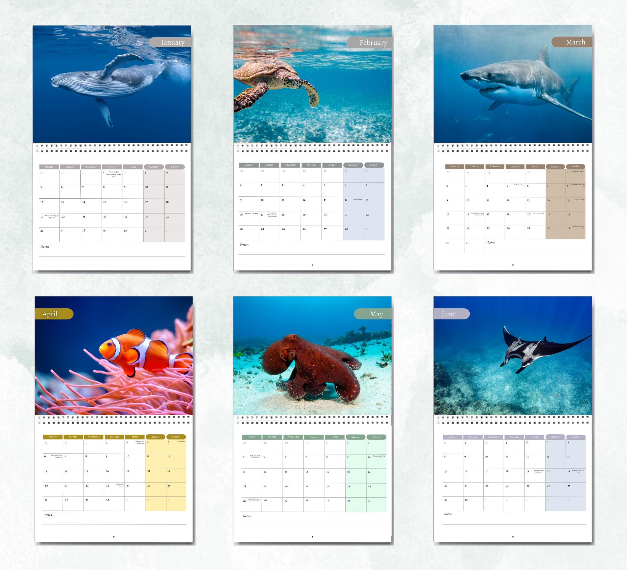 Under the Sea Calendar 2026: Monthly Wall Calendar With Notes, Opens to ...