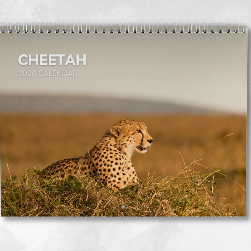 Cheetah Print - Etsy UK