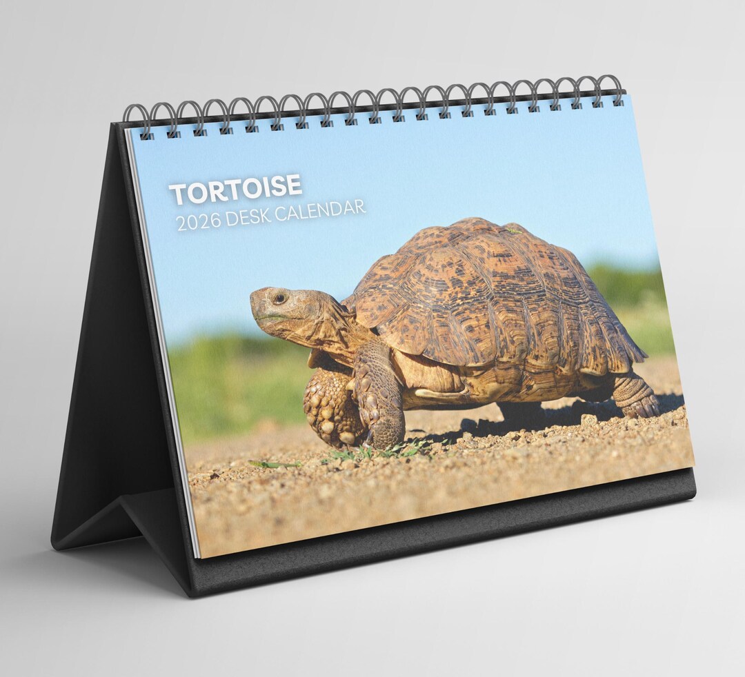 Tortoise Desk Calendar 2026-2027: Standing Flip Desktop Calendar With ...