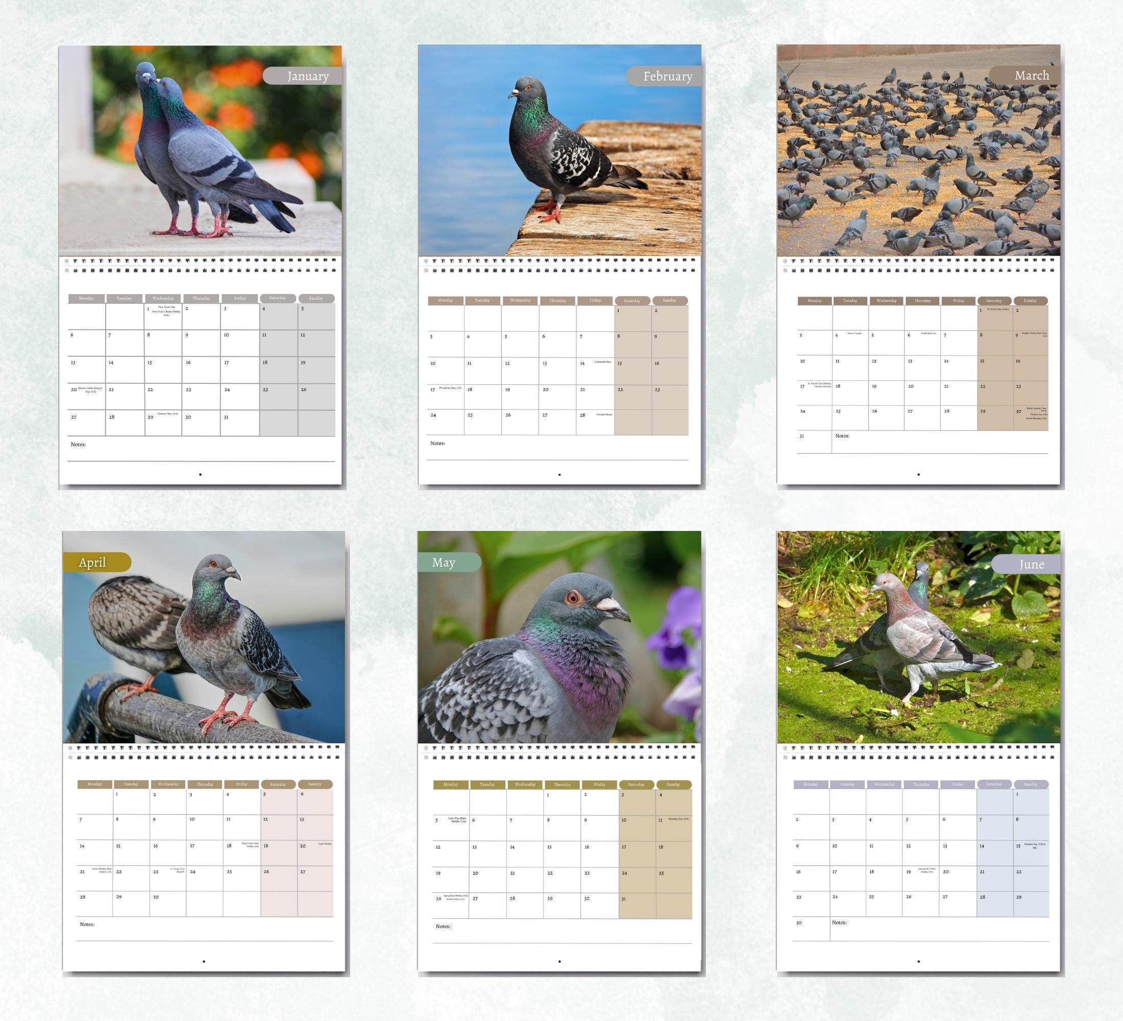 Pigeon Calendar 2026: Monthly Wall Calendar With Notes, Opens to A3 ...