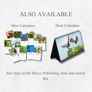 Bat Calendar 2025: Monthly Wall Calendar With Notes, Opens to A3 Size ...