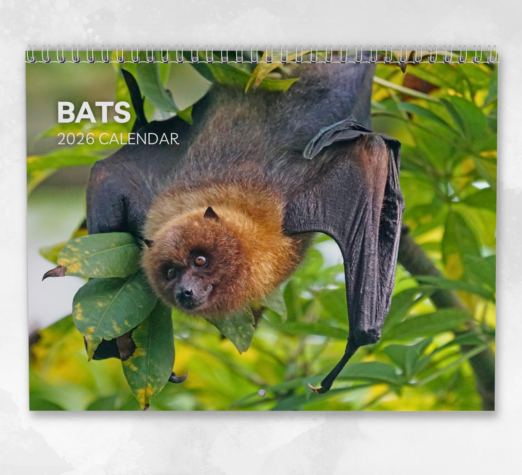 Bat Calendar 2026: Monthly Wall Calendar With Notes, Opens to A3 Size ...
