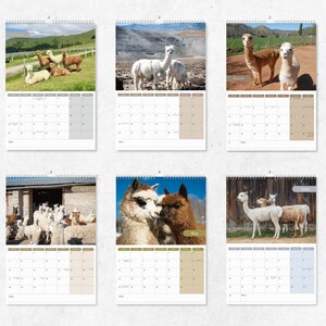 Alpacas Calendar 2025: Monthly Wall Calendar With Notes, Hanging A4 ...