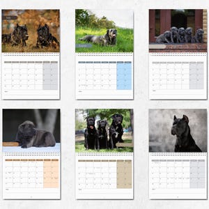 Cane Corso Calendar 2025: Monthly Wall Calendar With Notes, Opens to A3 ...