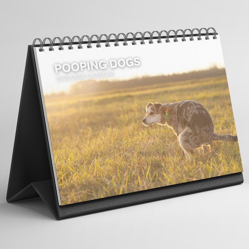 Tischkalender 2026 lustig - Etsy.de