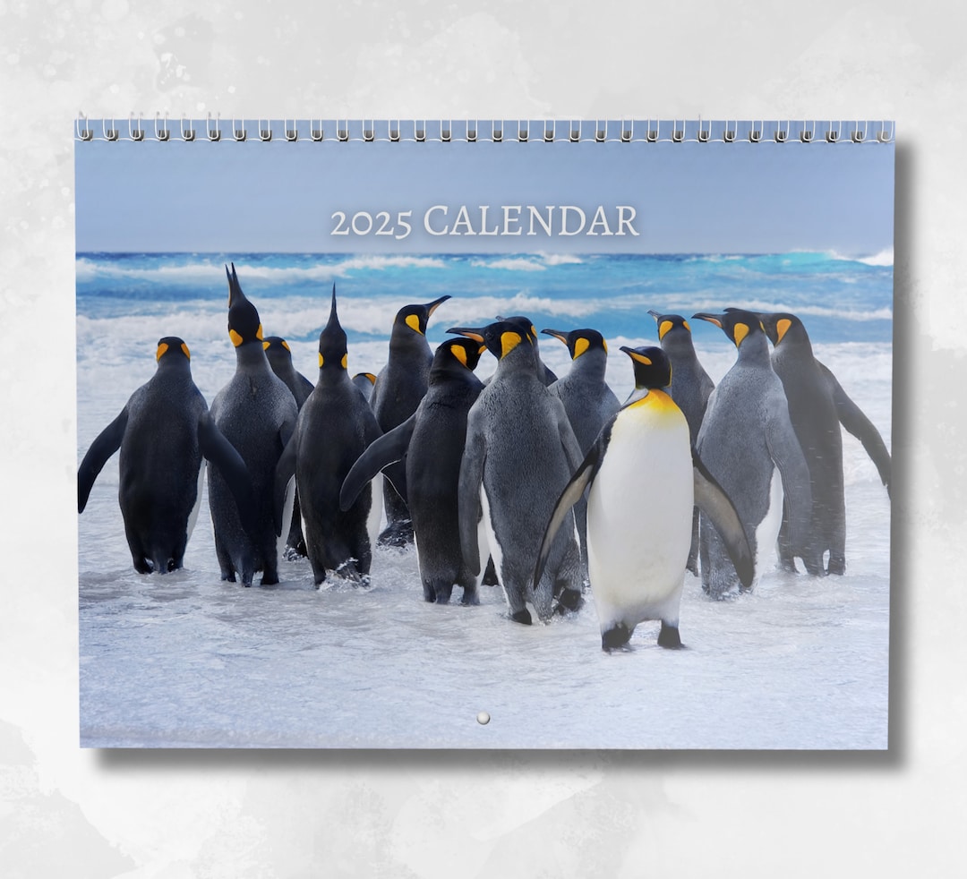 Penguin Calendar 2025: Monthly Wall Calendar With Notes, Opens to A3 ...