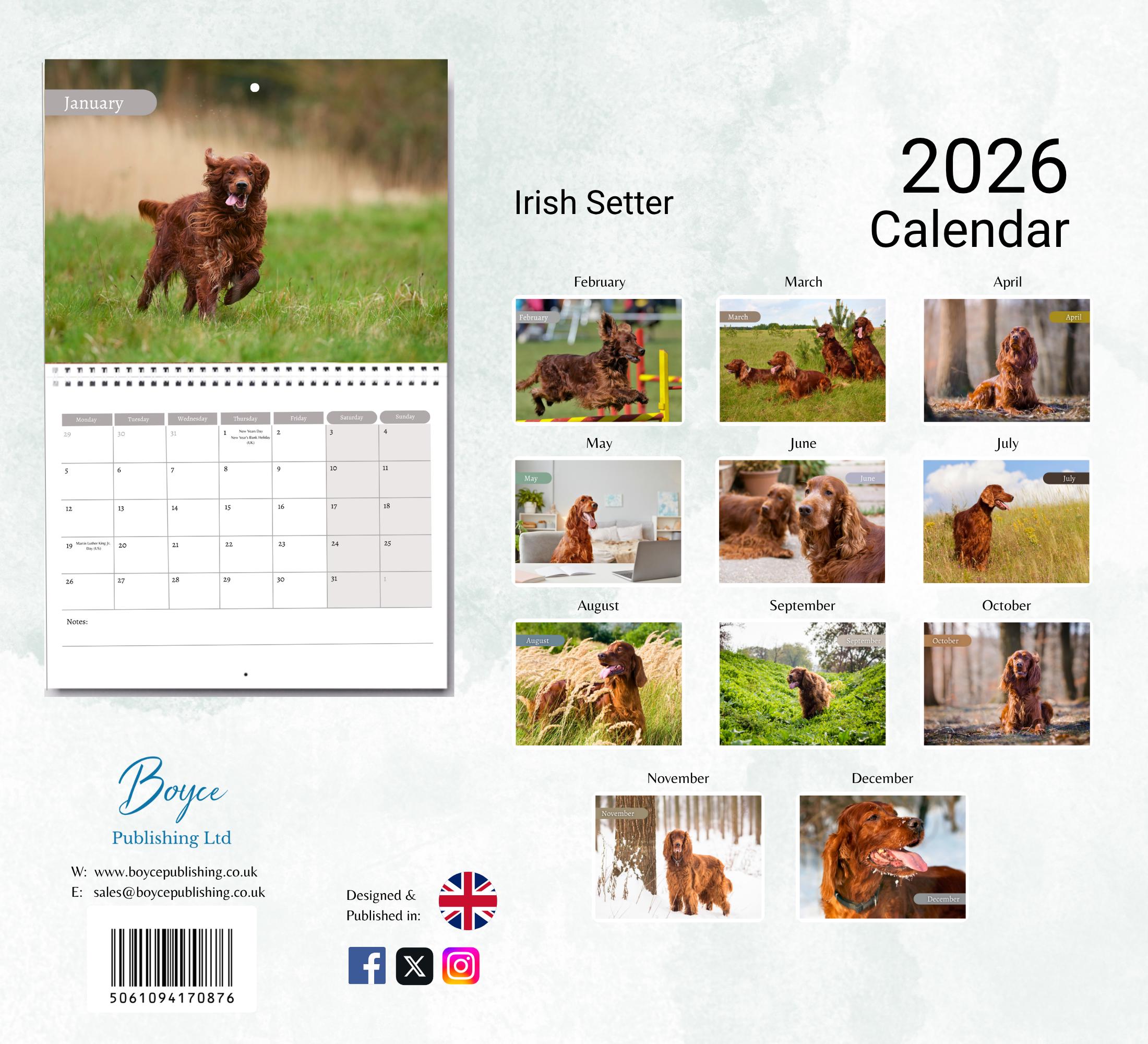 Irish Setter Calendar 2026: Monthly Wall Calendar With Notes, Opens to ...