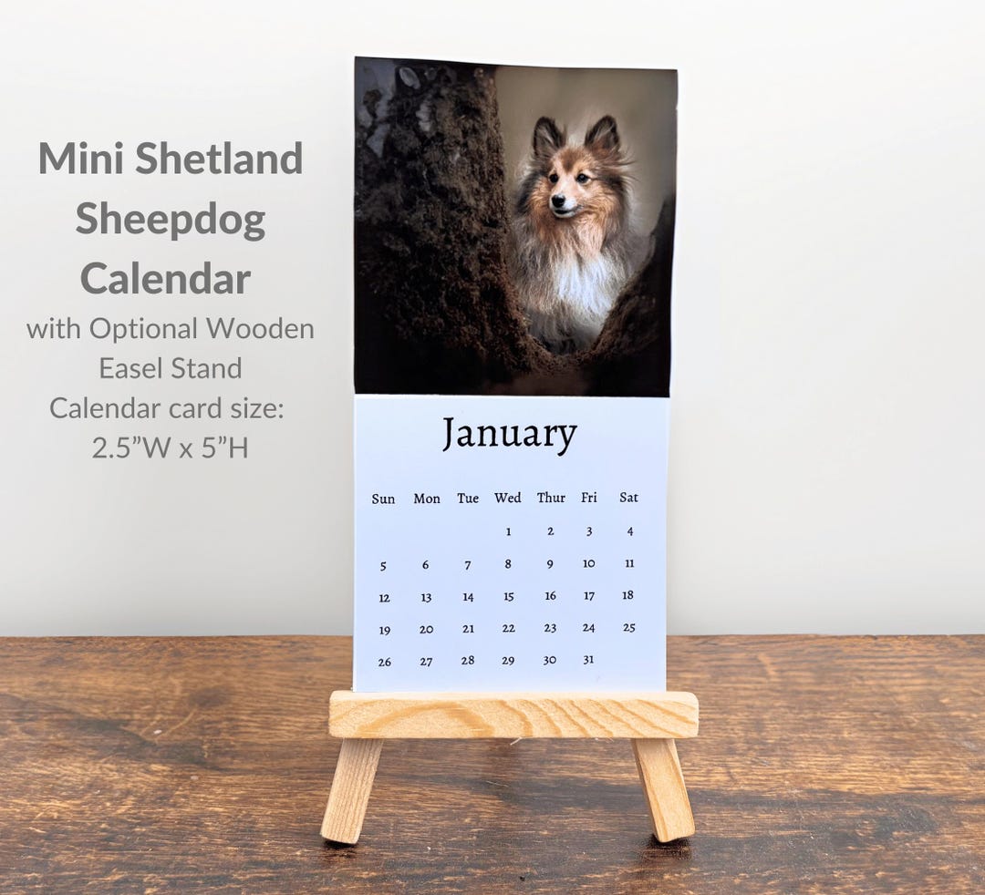 Shetland Sheepdog Calendar 2025: Mini Desk Calendar, Perfect Gift for ...