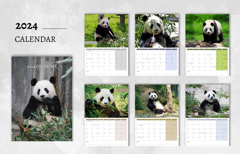 Panda Calendar 2024 Monthly Wall Calendar, A4 Hanging Calendar Perfect ...