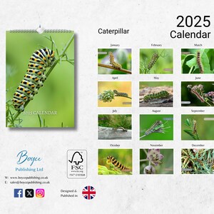 Caterpillar Calendar 2025: Monthly Wall Calendar With Notes, Hanging A4 ...
