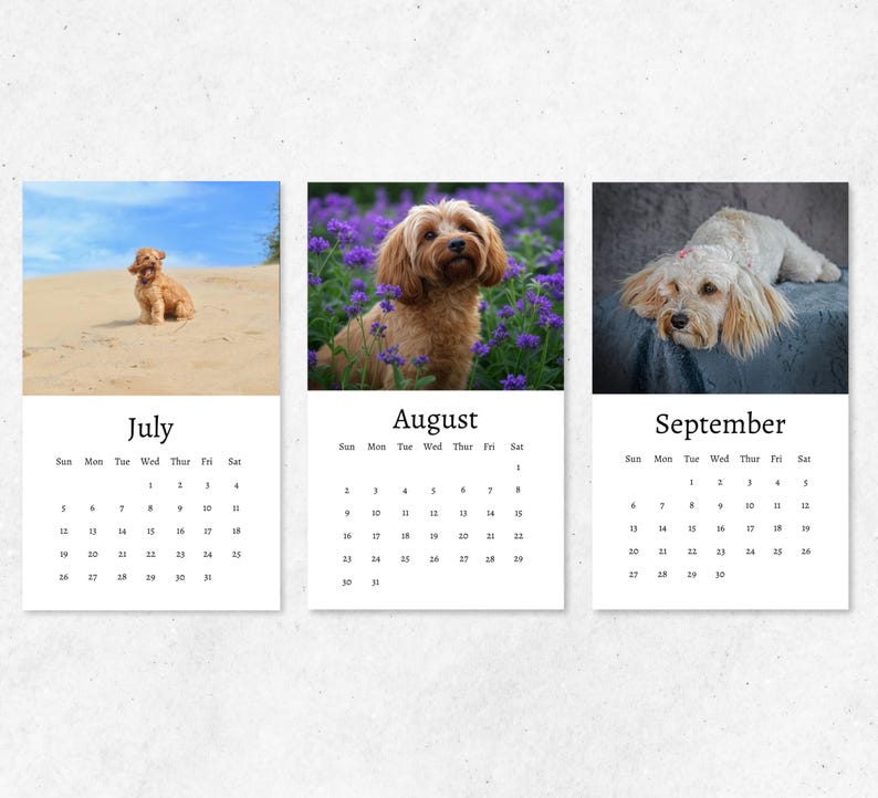 Cavapoo Calendar 2026: Mini Desk Calendar, Cavapoo Calendar 2026-2027 ...