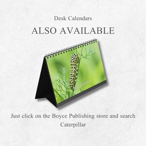 Caterpillar Calendar 2025: Monthly Wall Calendar With Notes, Hanging A4 ...
