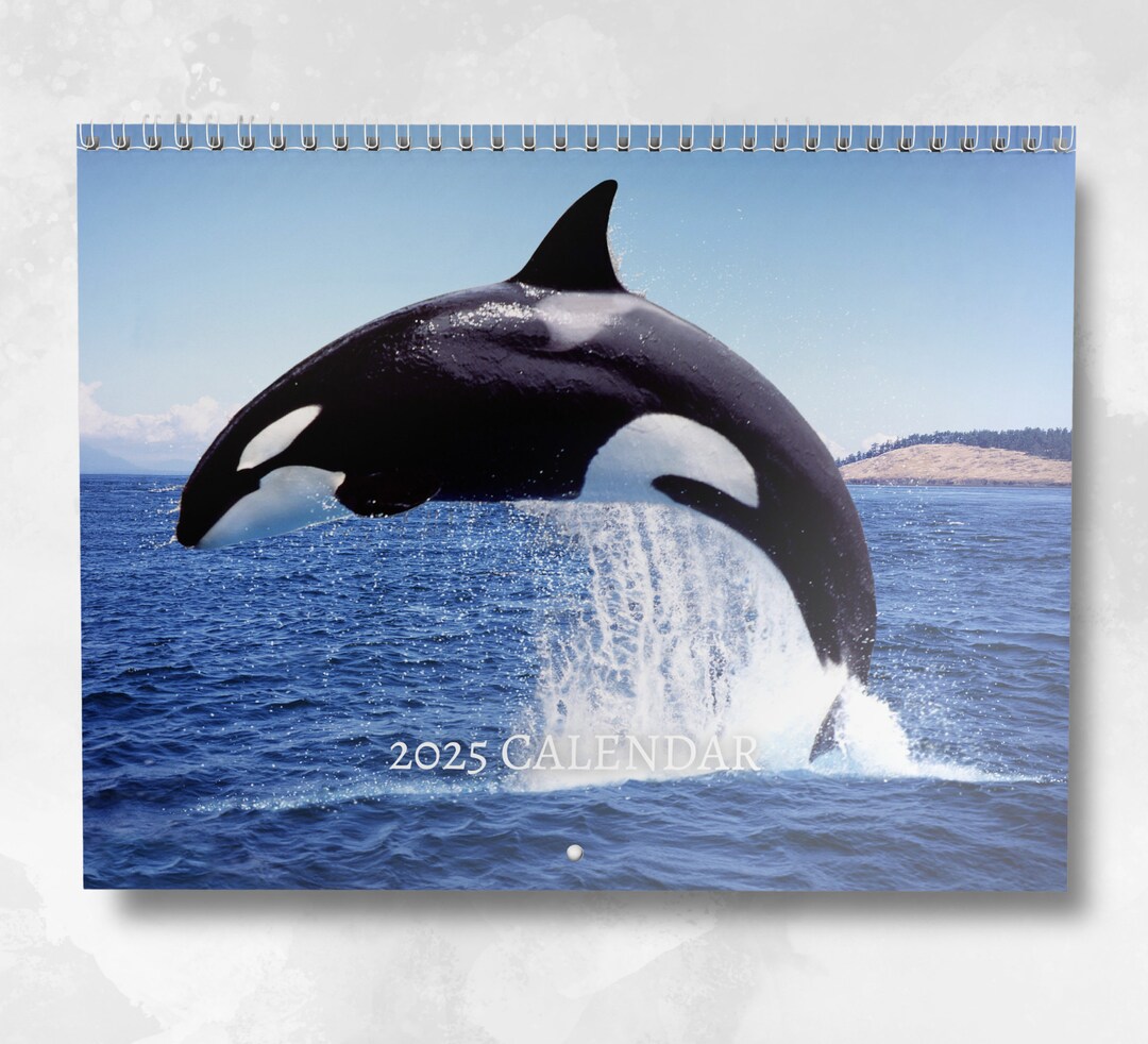Orca Calendar 2025: Monthly Wall Calendar With Notes, Opens to A3 Size ...