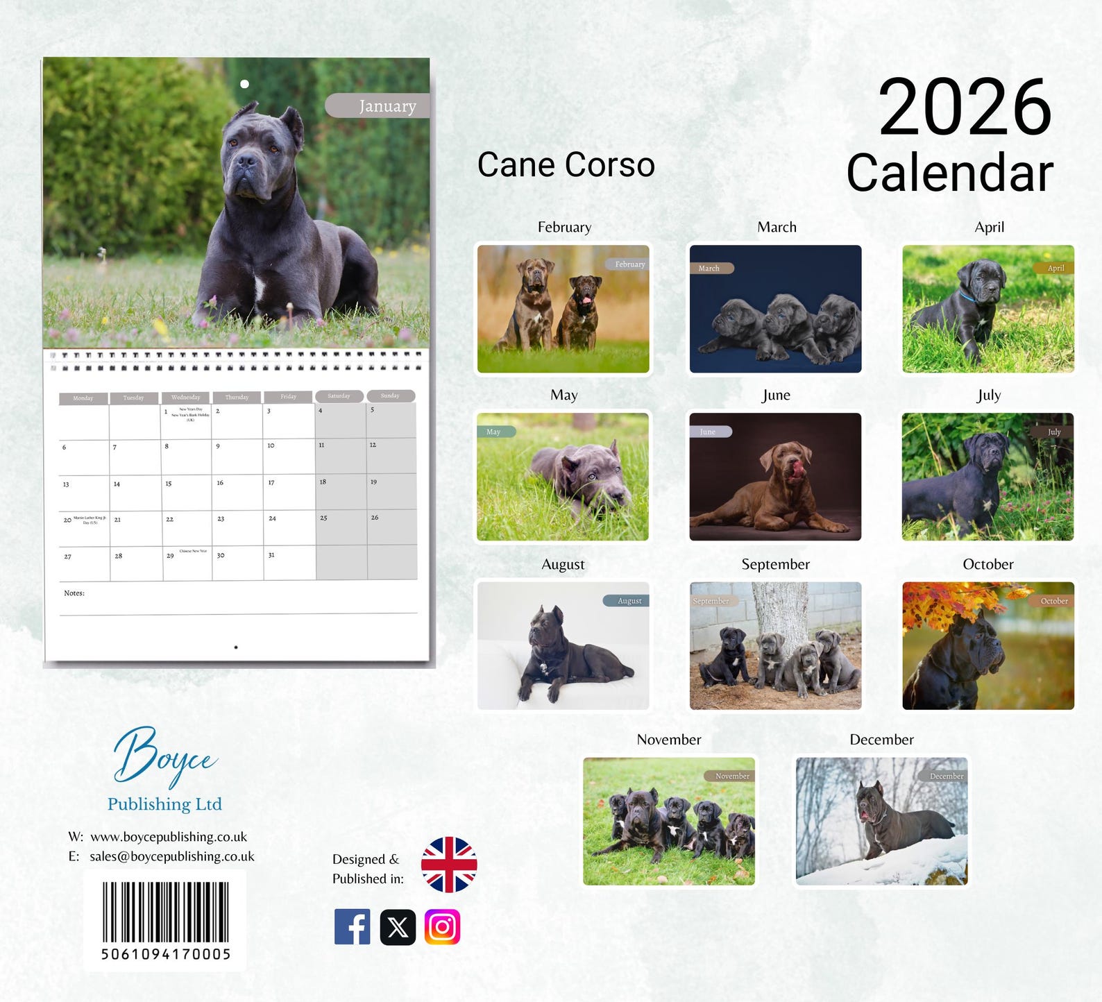 Cane Corso Calendar 2026: Monthly Wall Calendar With Notes, Opens to A3 ...