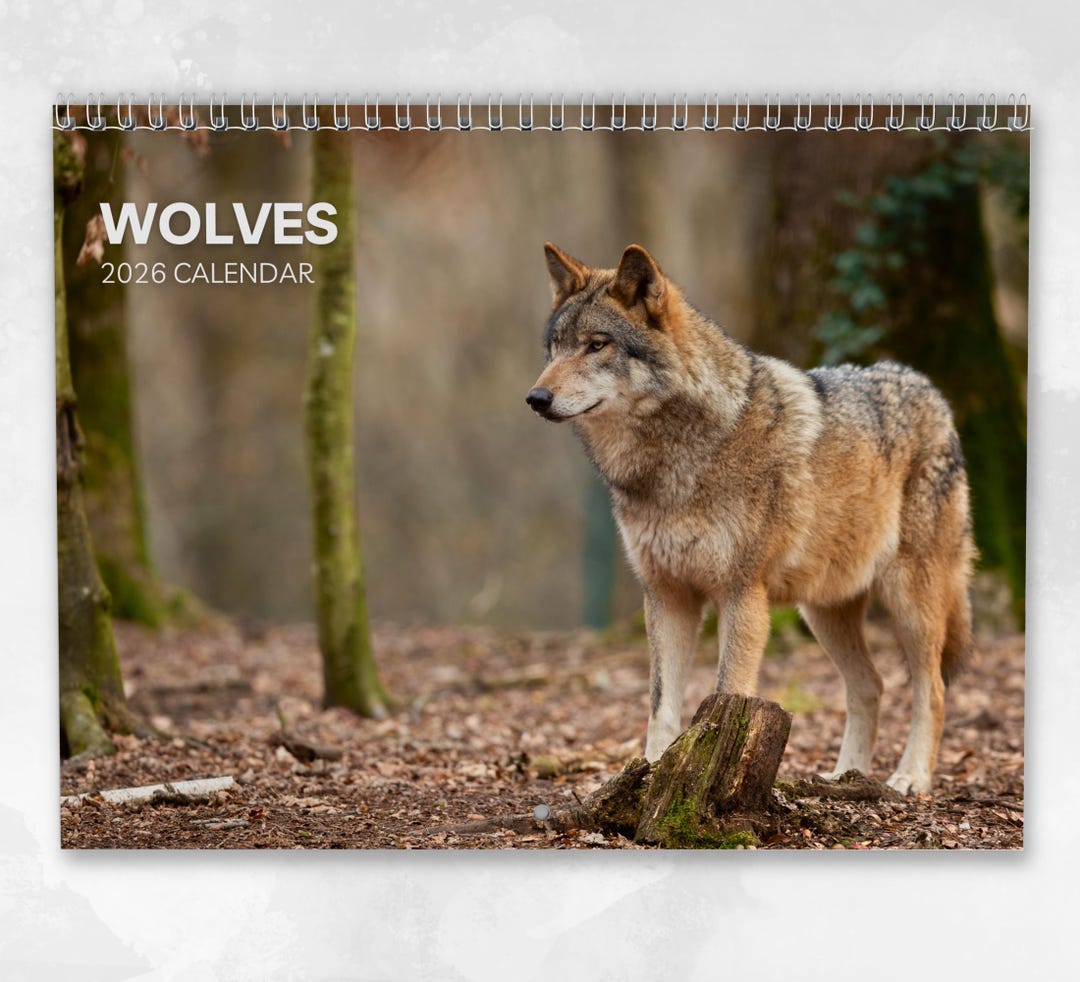 Wolf Calendar 2026: Monthly Wall Calendar With Notes, Opens to A3 Size ...