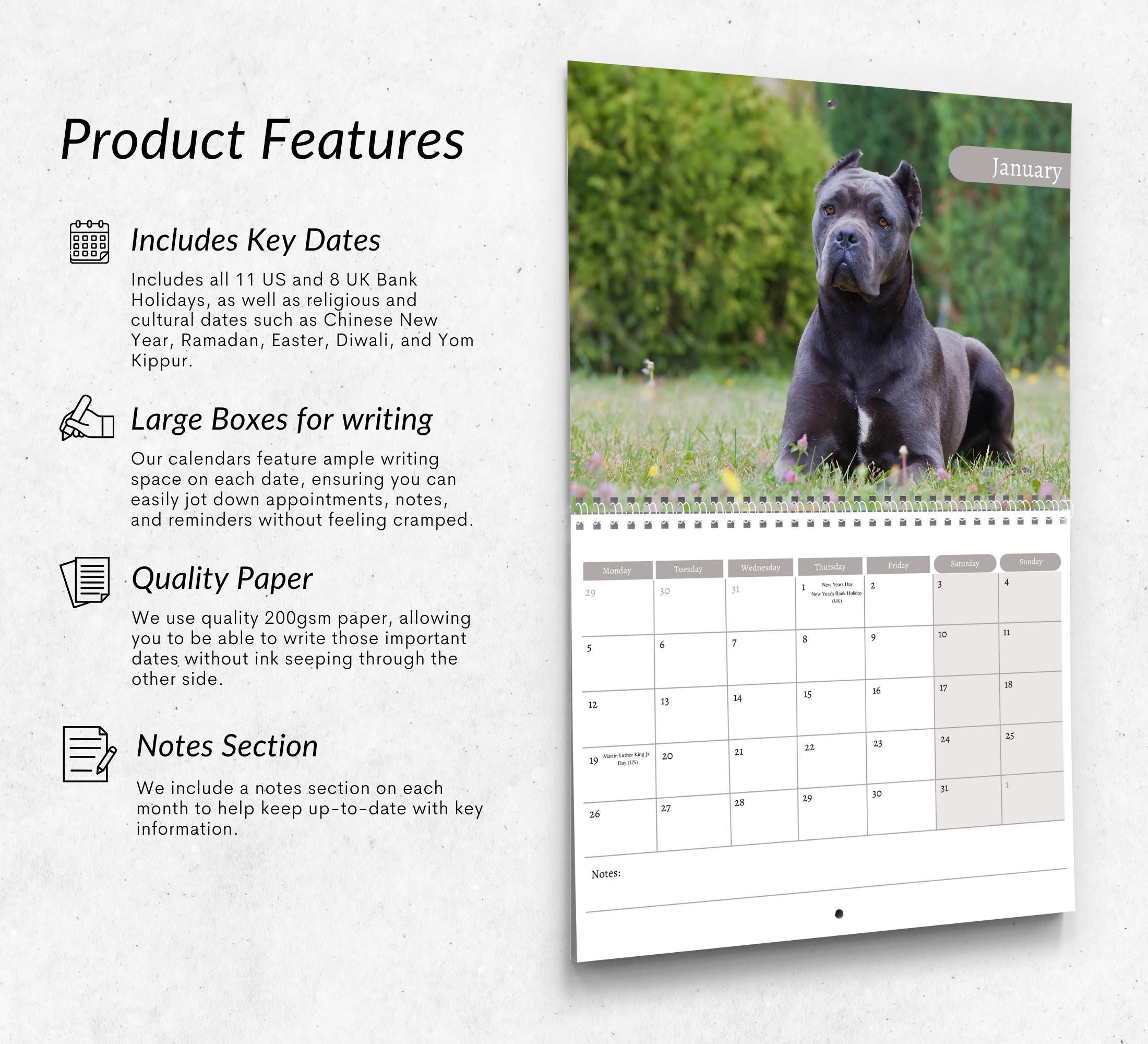 Cane Corso Calendar 2026: Monthly Wall Calendar With Notes, Opens to A3 ...