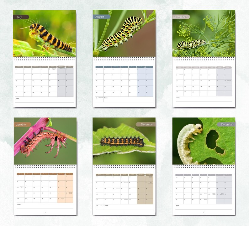 Caterpillar Calendar 2026: Monthly Wall Calendar With Notes, Opens to ...