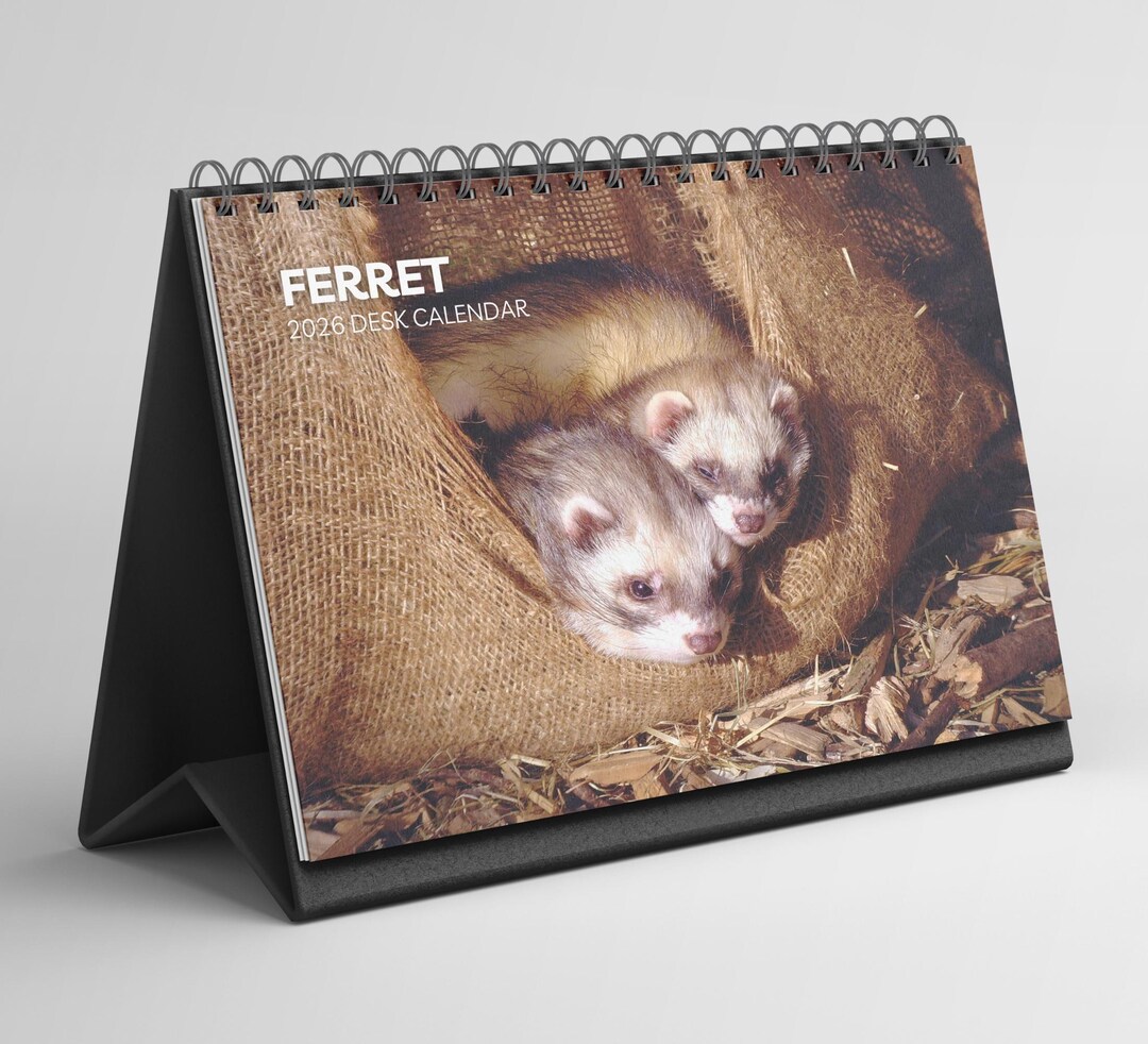 Ferret Desk Calendar 2026-2027: Standing Flip Desktop Calendar With ...