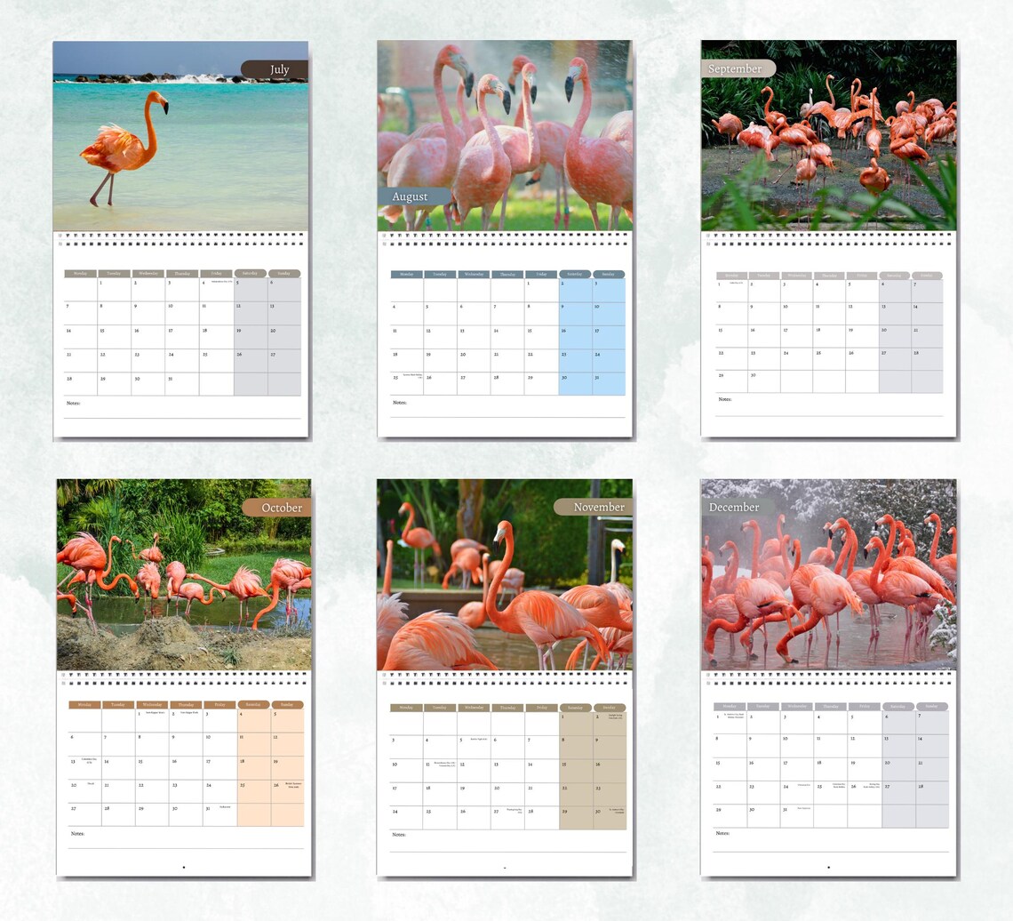 Flamingo Calendar 2026: Monthly Wall Calendar With Notes, Opens to A3 ...