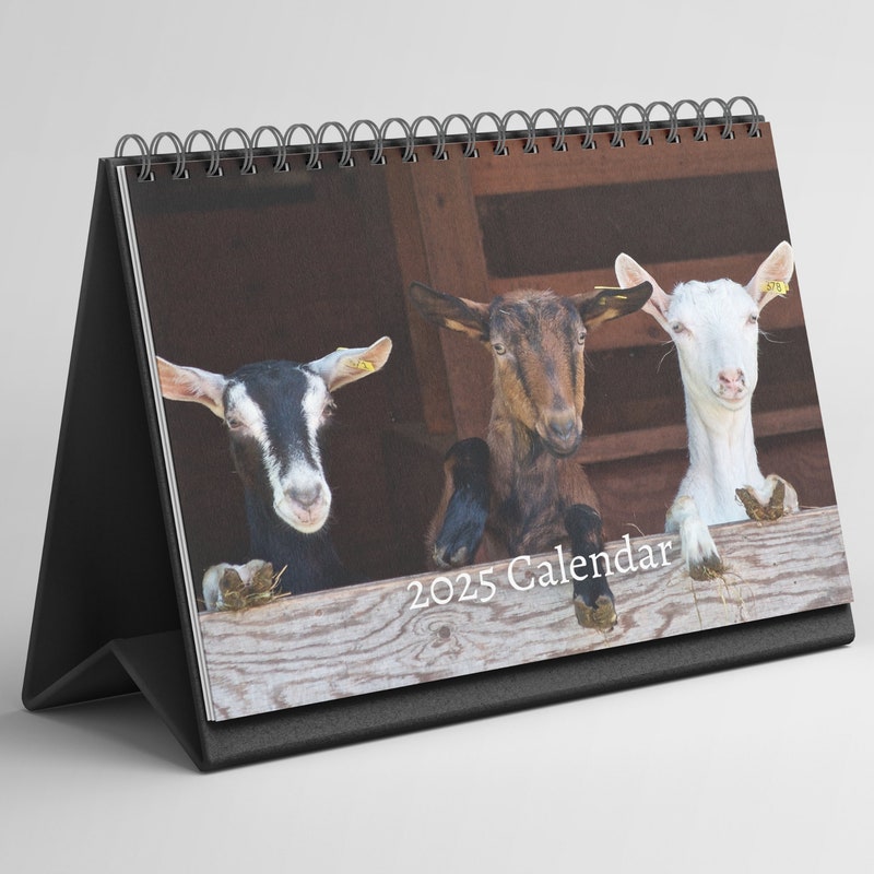 Goats - Etsy
