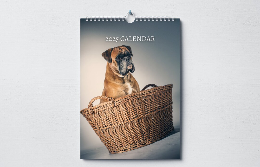 Boxer Dog Calendar 2025: Monthly Wall Calendar With Notes, Hanging A4 ...