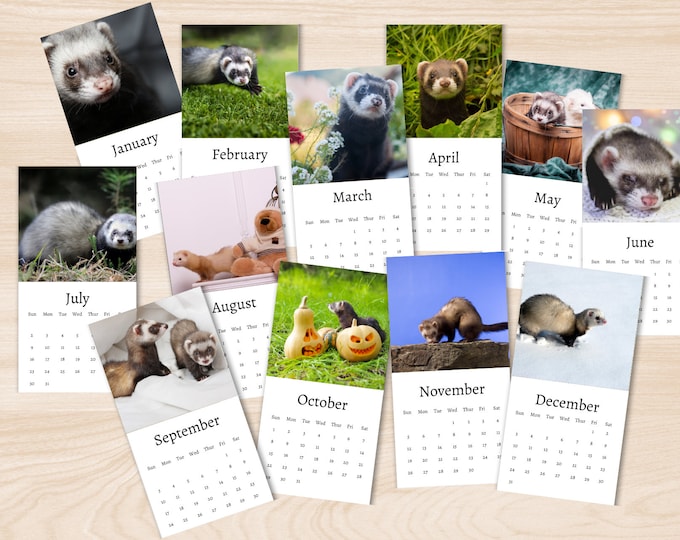 Ferret Calendar 2024 | Mini Desk Calendar | Ferret Calendar 2024-2025 ...