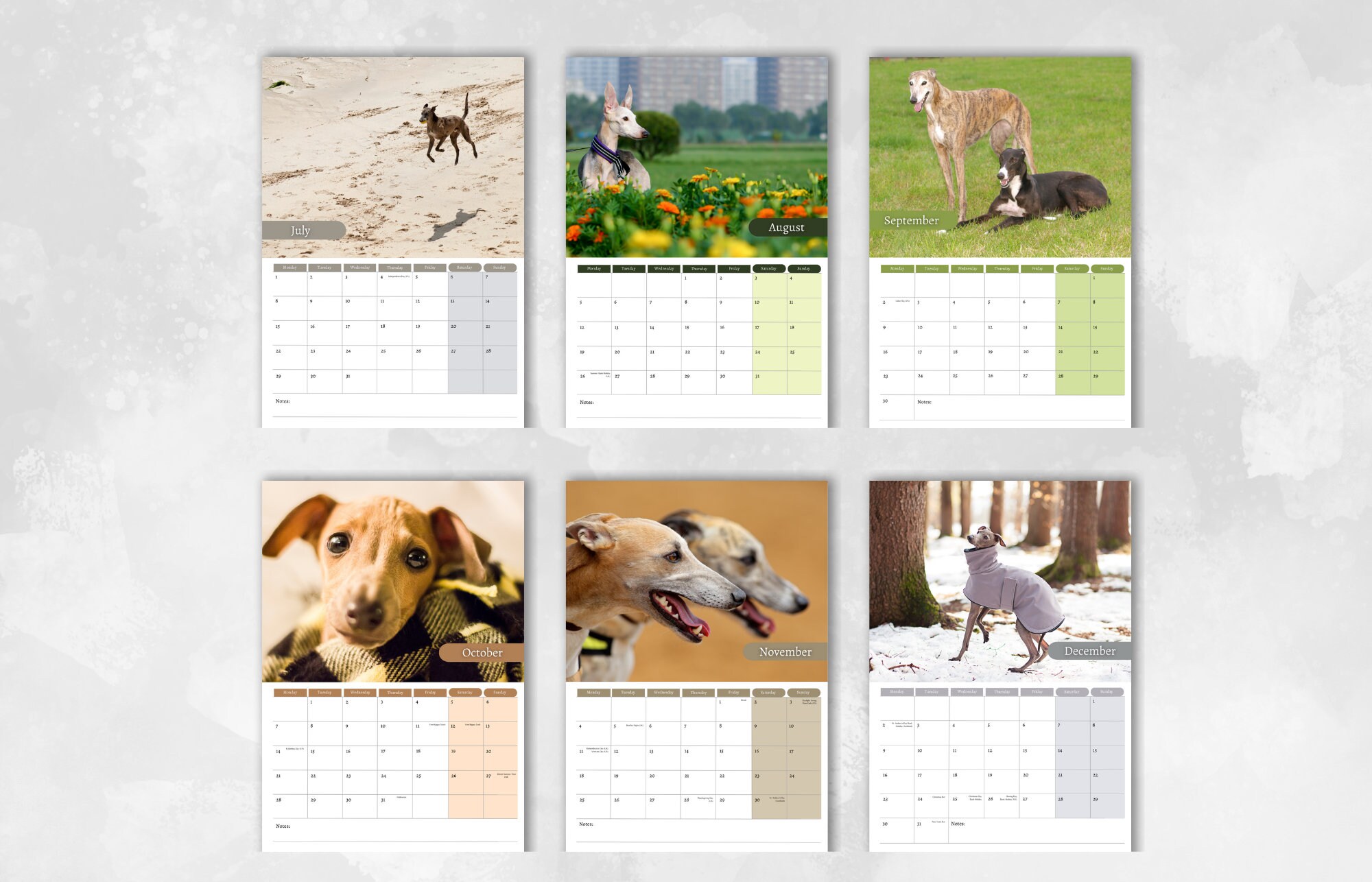 Greyhound Calendar 2024 Monthly Wall Calendar A4 Hanging - Etsy