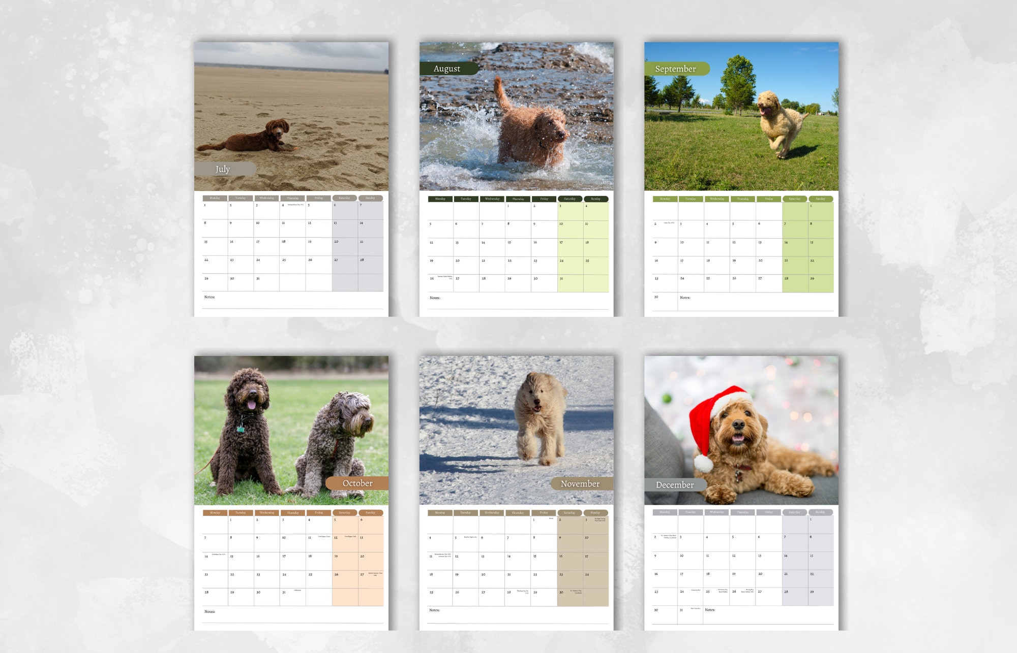Labradoodle Calendar 2024 Monthly Wall Calendar, A4 Hanging Calendar ...