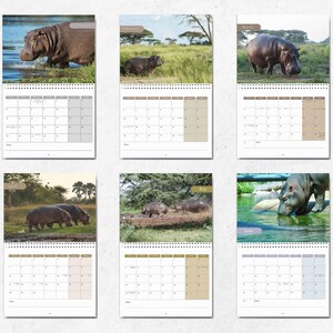 Hippo Calendar 2025: Monthly Wall Calendar With Notes, Opens to A3 Size ...
