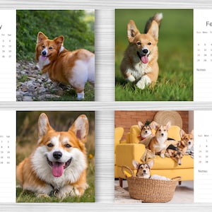 Corgi Desk Calendar 2025-2026: Standing Flip Desktop Calendar With Thick Paper 15.25cm X 22cm ...