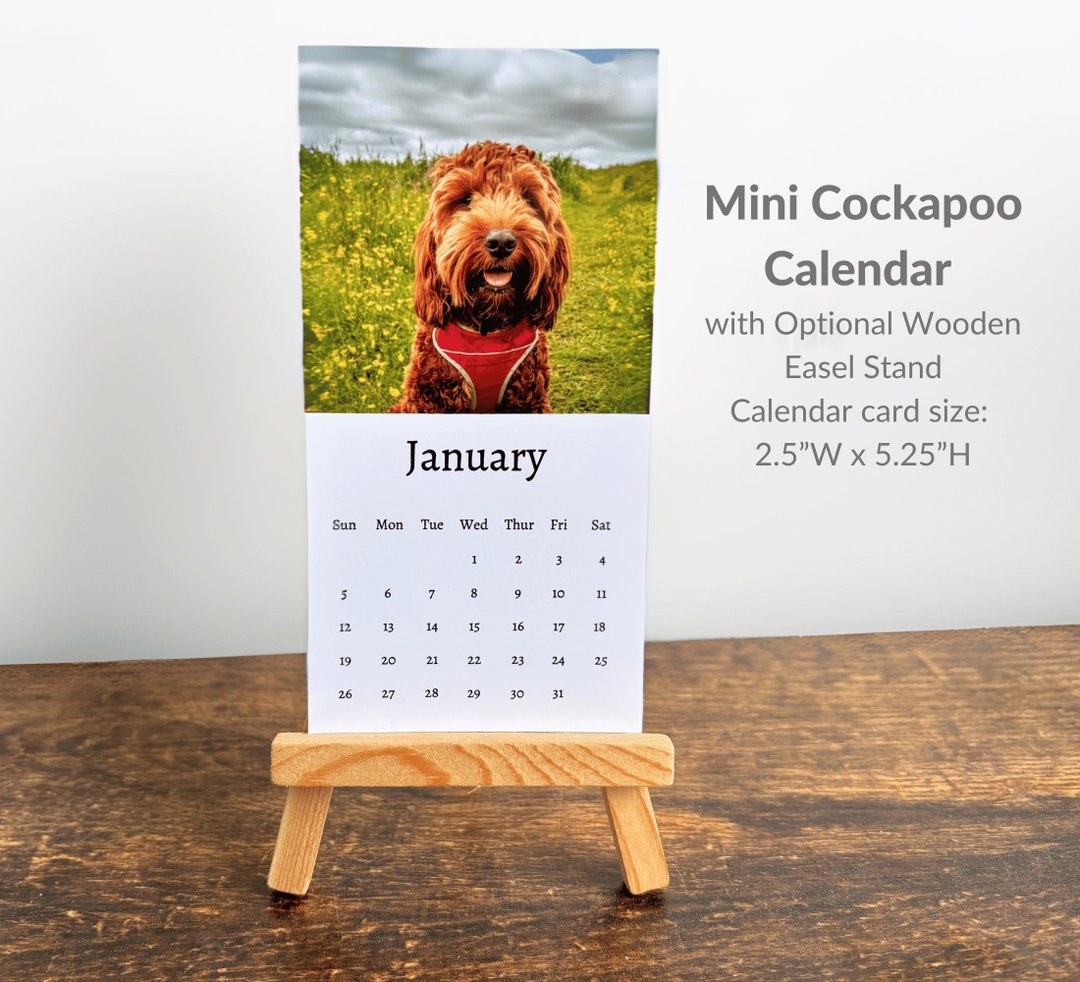 Cockapoo Calendar 2025: Mini Desk Calendar, Cockapoo Calendar 2025-2026 ...
