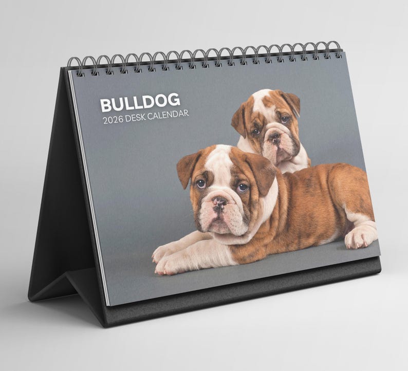 Bulldog Desk Calendar 2026-2027: Standing Flip Desktop Calendar With ...