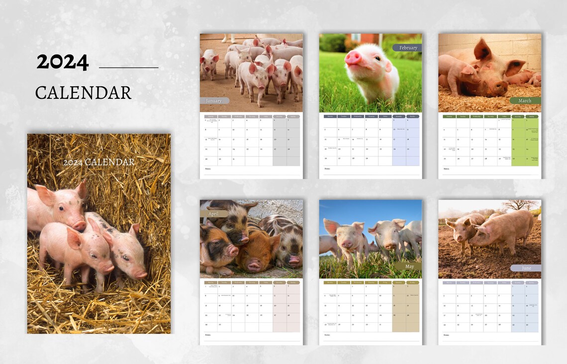 Pigs Calendar 2024 Monthly Wall Calendar A4 Hanging - Etsy