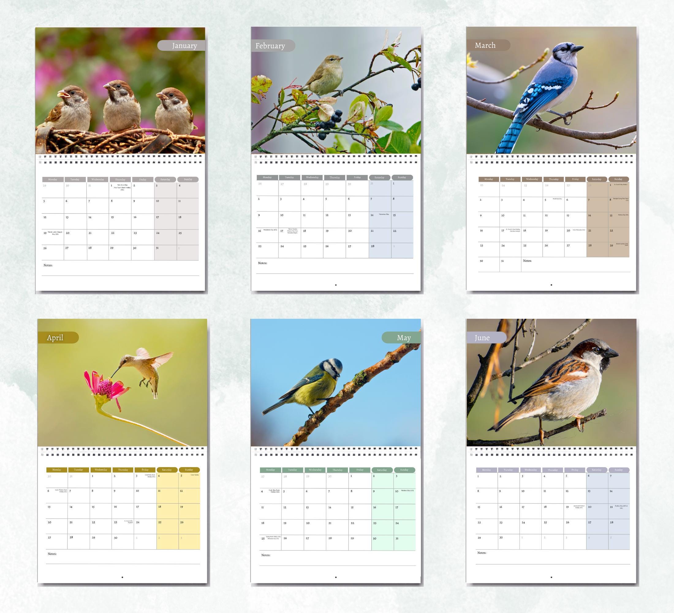 Garden Birds Calendar 2026: Monthly Wall Calendar With Notes, Opens to ...