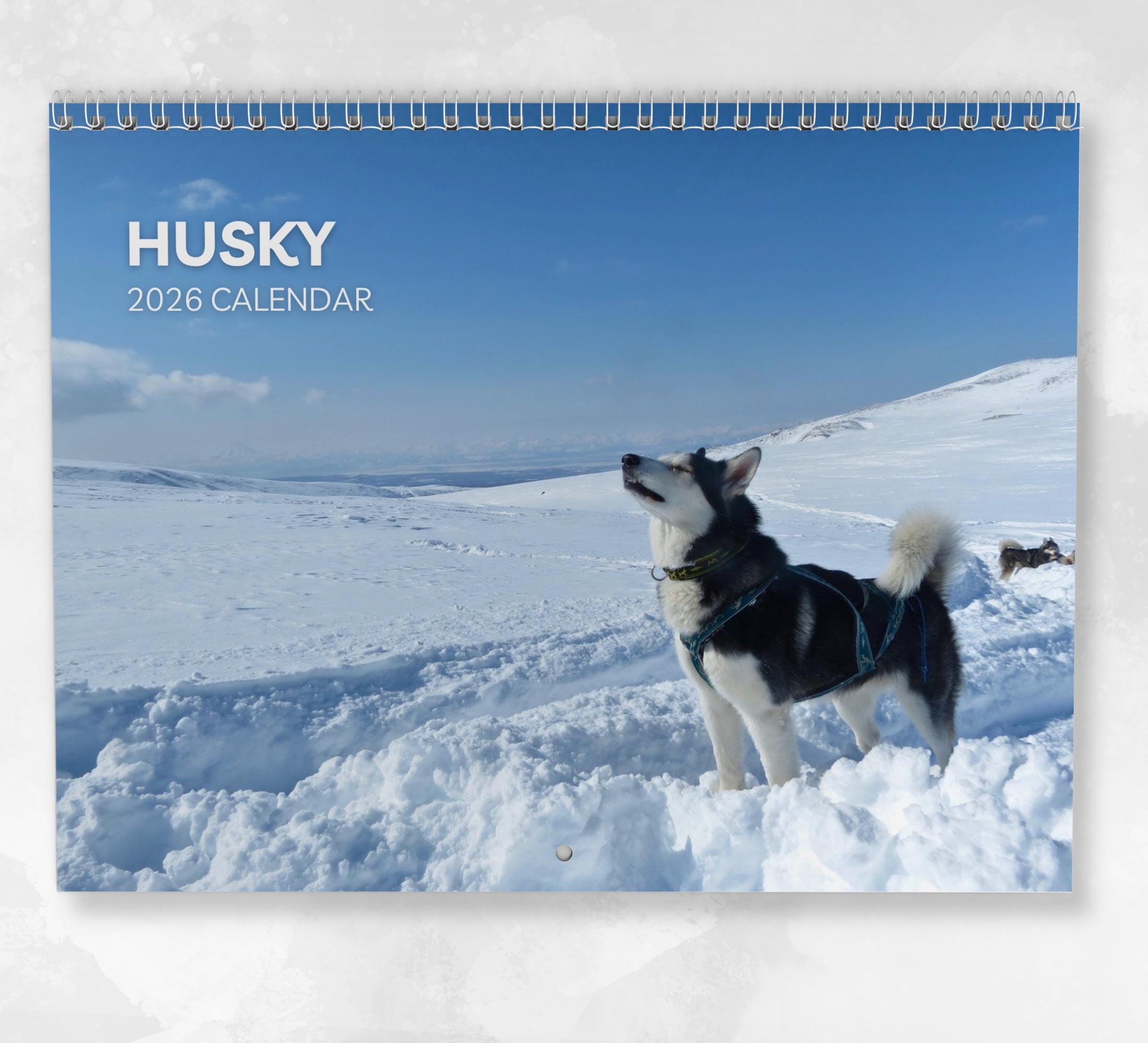 Husky Calendar 2026: Monthly Wall Calendar With Notes, Opens to A3 Size ...