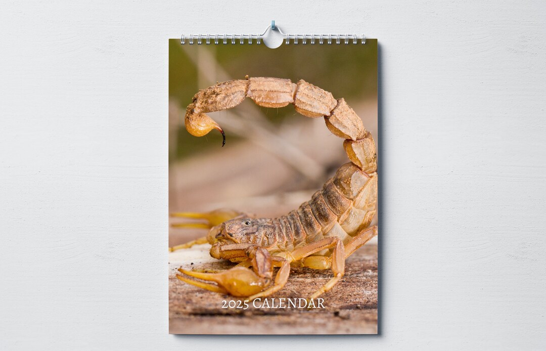 Scorpion Calendar 2025: Monthly Wall Calendar With Notes, Hanging A4 ...