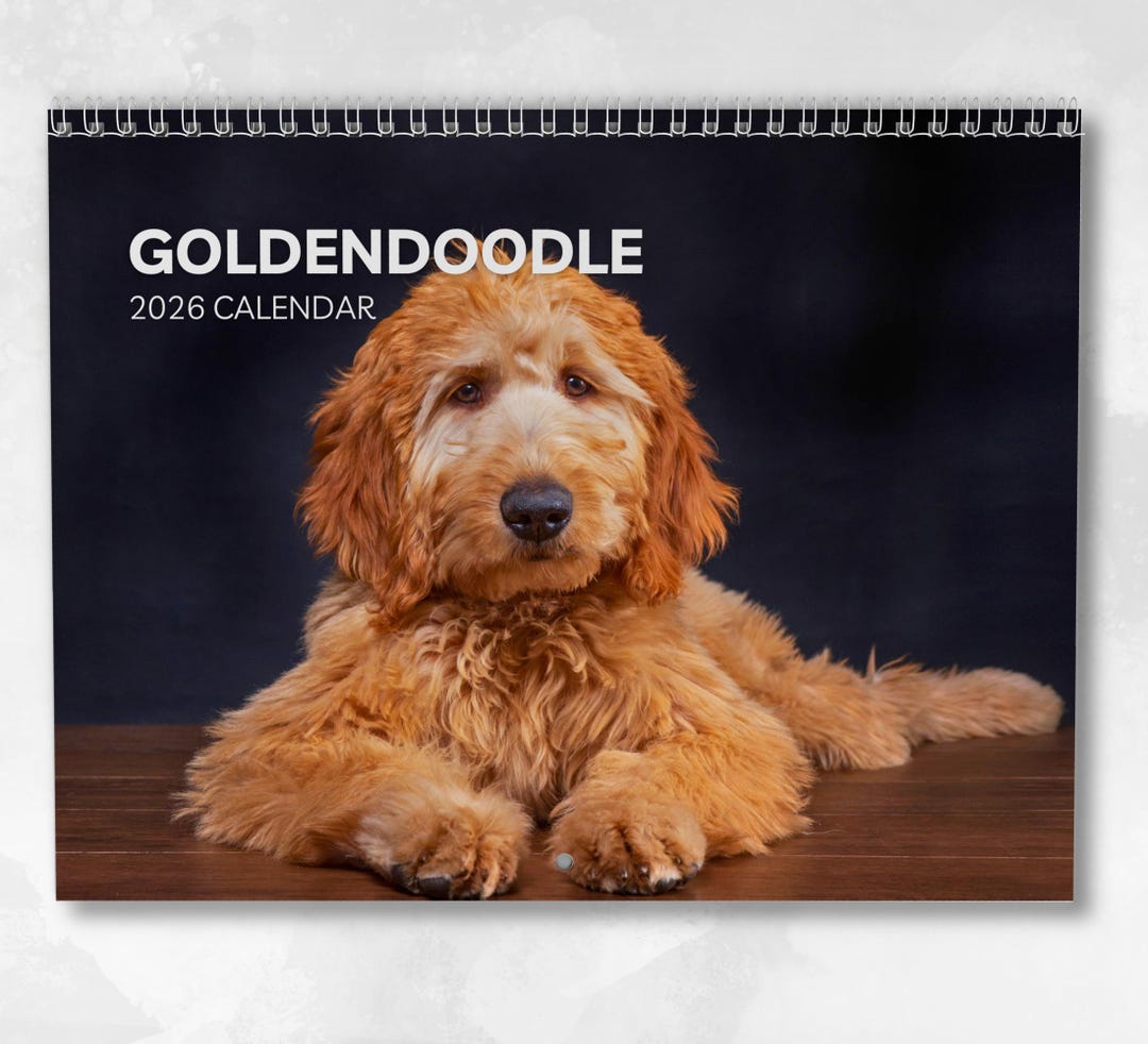 Goldendoodle Calendar 2026: Monthly Wall Calendar With Notes, Opens to ...