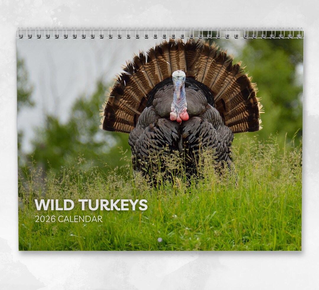 Wild Turkey Calendar 2026: Monthly Wall Calendar With Notes, Opens to ...