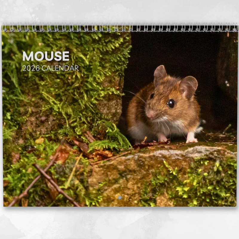Mice Calendar 2026 - Etsy UK