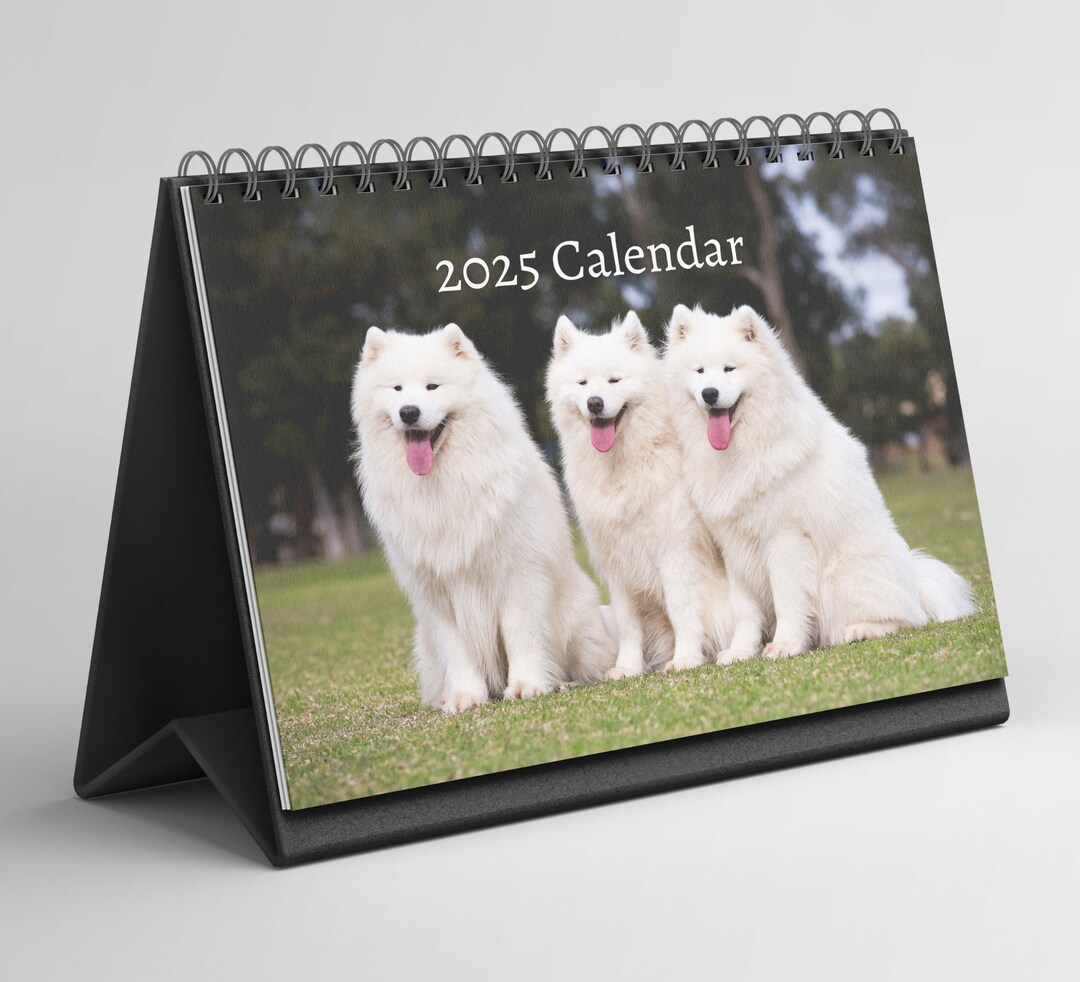 Samoyed Desk Calendar 2025-2026: Standing Flip Desktop Calendar With ...